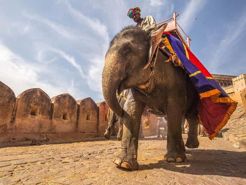 5-Day Golden Triangle Tour: Delhi, Agra & Jaipur - The Value of This Tour