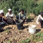 5-Day Private Farming Experience in Nayapul with Accommodation - Why This Tour Offers Real Value