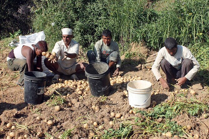 5-Day Private Farming Experience in Nayapul with Accommodation - Why This Tour Offers Real Value