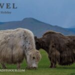 5 day /Terelj, Chinggis Khaan statue, Central Mongolia - A Detailed Look at the 5-Day Mongolia Tour