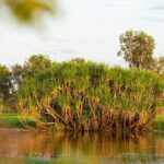 5 Day Top End Camping Tour - Who Will Love This Tour?