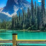 5 day Vancouver Group Tour with Transportation - A Deep Dive into the 5-Day Vancouver Tour Experience