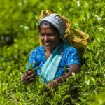 5 Days Bangladesh Tour - Dhaka - Sonargaon - Srimangal - What We Think About the Value