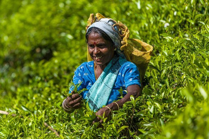 5 Days Bangladesh Tour - Dhaka - Sonargaon - Srimangal - What We Think About the Value