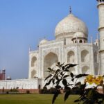 5 Days Golden Triangle Tour and Ranthambore Wildlife Safari - An In-Depth Look at the Tour