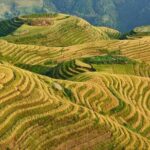 5-Days Guilin tour with the Yangshuo and overnight in Longji Rice Terraces - The Authenticity & Value of This Tour