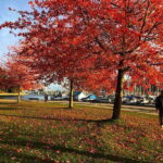 5 Days of Adventure in Vancouver  Activities-Only Tour - Transportation, Timing, and Group Experience