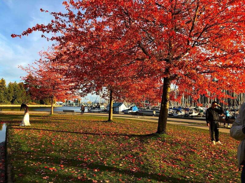 5 Days of Adventure in Vancouver  Activities-Only Tour - Transportation, Timing, and Group Experience