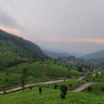 5 Days Private Kerala Tour with Houseboat by Sanguine Holidays - What Makes This Tour Stand Out?