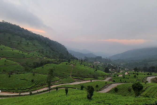 5 Days Private Kerala Tour with Houseboat by Sanguine Holidays - What Makes This Tour Stand Out?