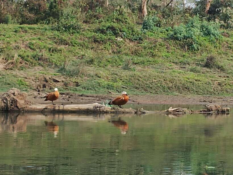 5 Days with One Tower Night Stay in Chitwan National Park - Why This Tour Offers Good Value
