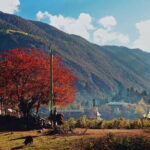 5 Days Yubeng Hiking Tour - Who Should Consider This Tour?