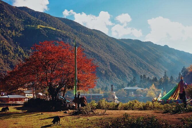 5 Days Yubeng Hiking Tour - Who Should Consider This Tour?