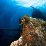 5 Fun Dives in Tulamben (for certified divers) - Discover famous diving sites - The Itinerary in Detail