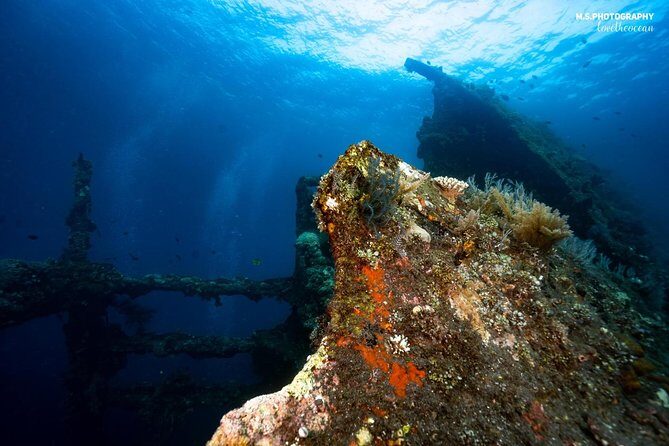5 Fun Dives in Tulamben (for certified divers) - Discover famous diving sites - The Itinerary in Detail