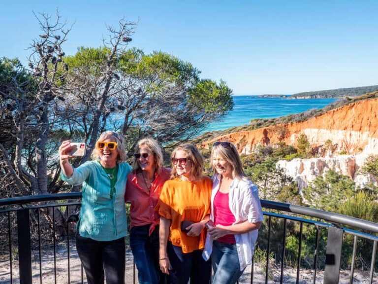 5-hour Eden Small Group Tour: Beaches, Lookouts and More - Boyds Tower and Lookouts: A Historic Perspective