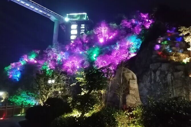 5-Hour Guangzhou Private Day Trip to Huangteng Gorge Glass Bridge - Who Should Consider This Tour?