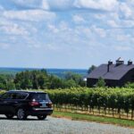 5 Hour Historic Thomas Jefferson Wine Tour - Who Is This Tour Best For?