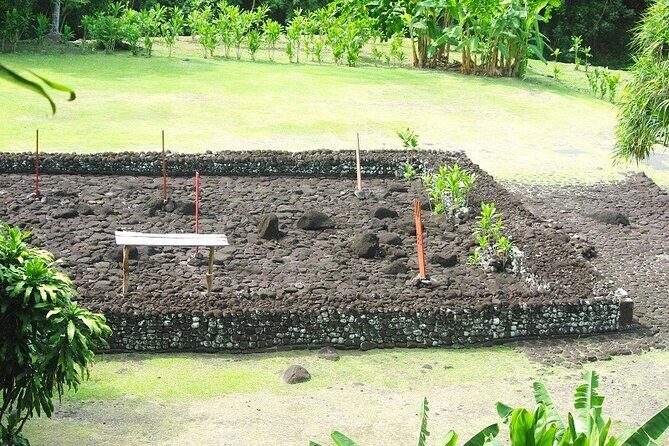 5 Hours Tahiti Island Tour - West and East Coast - What the Tour Includes and What to Expect