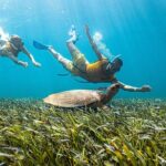 5-in-1 Cancun Snorkeling: Turtles, Reef, Musa, Shipwreck, Cenote - Final Thoughts: Who Will Love This Tour?