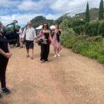 5 or 7 hour Far End of Waiheke Scenic Wine Tour in Electric Vans - Practicalities and Tips