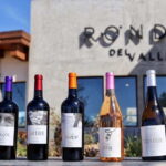 5 wines Tastings with Tour in Valle de Guadalupe Winery - The Itinerary: Guided Tour and Tasting, Step by Step