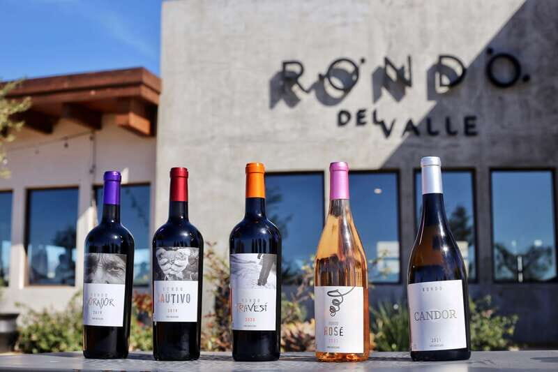 5 wines Tastings with Tour in Valle de Guadalupe Winery - The Itinerary: Guided Tour and Tasting, Step by Step