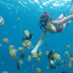 5D/4N (Hostel) Backpacker Lombok Tour Package - Exploring Lombok’s Beaches and Coastline