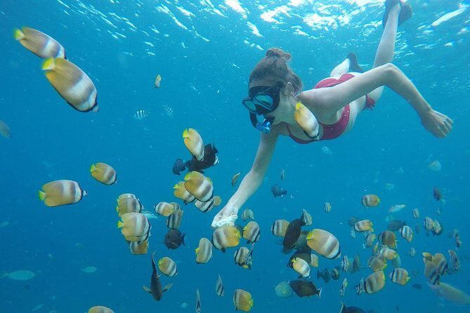 5D/4N (Hostel) Backpacker Lombok Tour Package - Exploring Lombok’s Beaches and Coastline