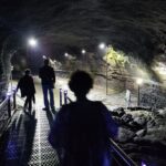 5Hour Private Taxi driver Tour in Jeju - Who Will Love This Tour?