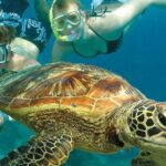 6-Day Best of Cairns Including the Great Barrier Reef, Kuranda and the Daintree Rainforest - What This Tour Means for Travelers