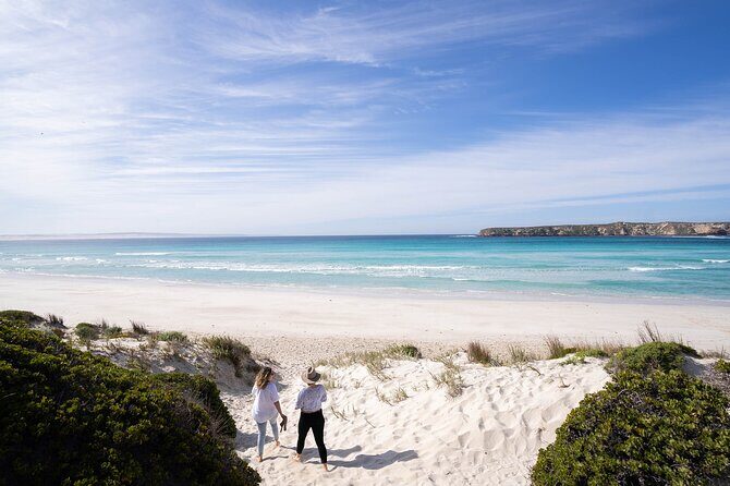 6-Day Eyre Peninsula & Flinders Ranges Adventure Tour - The Sum Up