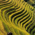 6-Day Guilin tour to Yangshuo,Longji and Guilin - The Value of This Tour