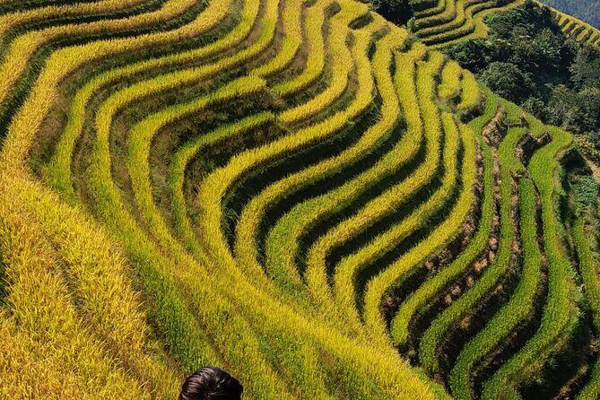 6-Day Guilin tour to Yangshuo,Longji and Guilin - The Value of This Tour