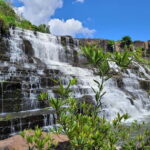 6-Day motorcycle tour Sai Gon-Nha Trang self-ride - What We Appreciate About This Tour