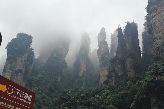 6-Day Private Tour from Chengdu to Zhangjiajie - An In-Depth Look at the Tour Experience