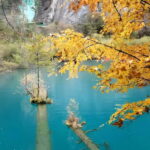 6 Day Tour Including Chengdu, Jiuzhaigou And Dagu Glacier - The Long Drive to Jiuzhaigou: Preparing for Natural Wonders