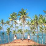 6 Day Tour of NuwaraEliya,Ella,Udawalawe,Tangalle,Mirissa&Bentota - Authentic Experiences and Genuine Value
