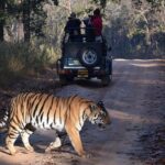 6 Days Golden Triangle Tour with Ranthambore: Delhi Agra Jaipur Ranthambore Tour - Who Should Consider This Tour?