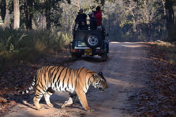 6 Days Golden Triangle Tour with Ranthambore: Delhi Agra Jaipur Ranthambore Tour - Who Should Consider This Tour?
