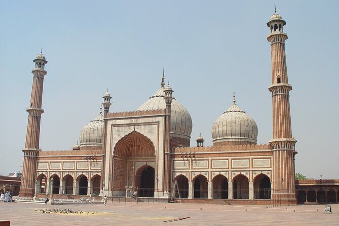 6 Days Golden Triangle Tour with Ranthambore Delhi Agra Jaipur - Final Thoughts