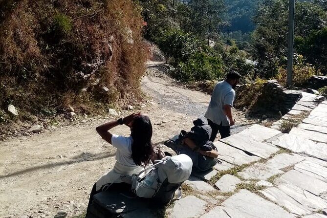 6 Days Nepal Private Tour with Poon Hill Trek - Detailed Itinerary Breakdown