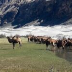 6 days Private Guided Tour of Ladakh from Delhi by flight & car - Authentic Experiences and Traveler Feedback