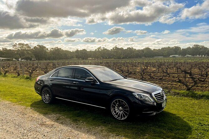 6 Hour Adelaide Hills Winery Tour - Who Will Appreciate This Tour?