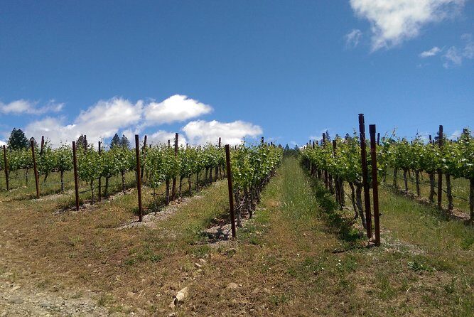 6 Hour Napa or Sonoma Wine Tour in Private Limousine - Who Should Consider This Tour
