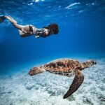 6 Hour Private Boat Activity with Snorkeling & Lunch - Discovering the Details of This Private Moorea Adventure