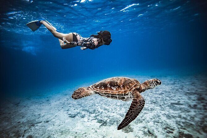 6 Hour Private Boat Activity with Snorkeling & Lunch - Discovering the Details of This Private Moorea Adventure