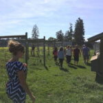 6-Hour Victoria to Cowichan Wine Tour - Experience Overview: The Itinerary and Its Highlights
