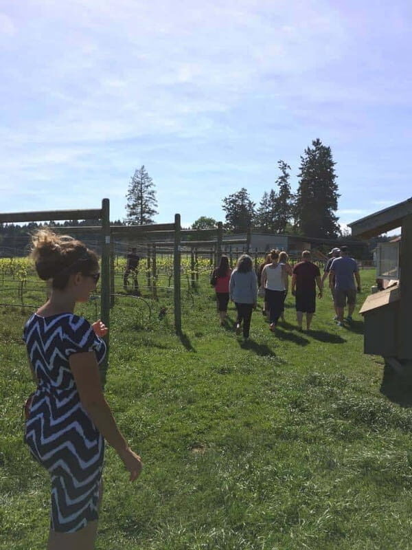 6-Hour Victoria to Cowichan Wine Tour - Experience Overview: The Itinerary and Its Highlights