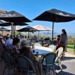 6 Hour Welcome to Brisbane Private Sightseeing Private Tour - Exploring Brisbane’s Cultural and Riverside Landmarks